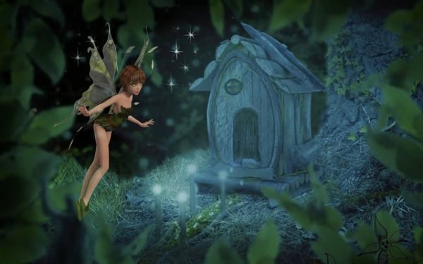 Erica's Fairy Forest | Cavan Attractions | Slieve Russell