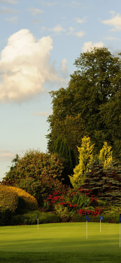 Dining in Cavan | Cavan Restaurants | Slieve Russell Hotel