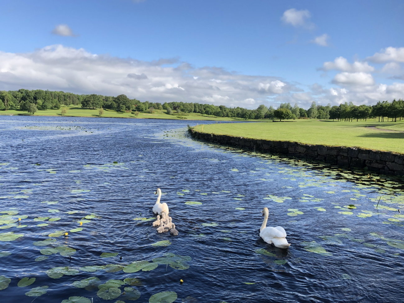 Sustainability | Sustainable Hotels | Slieve Russell Hotel