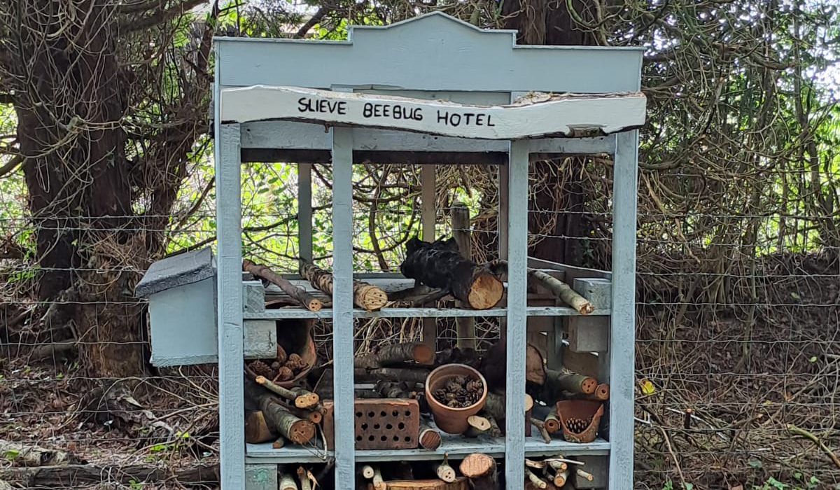 The Beebug Hotel | Bug Hotel | Slieve Russell Hotel