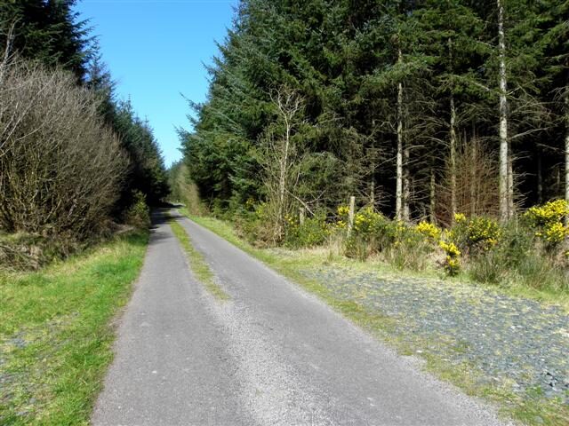Ballyconnell to Bellaheady Trail | Cavan Attractions